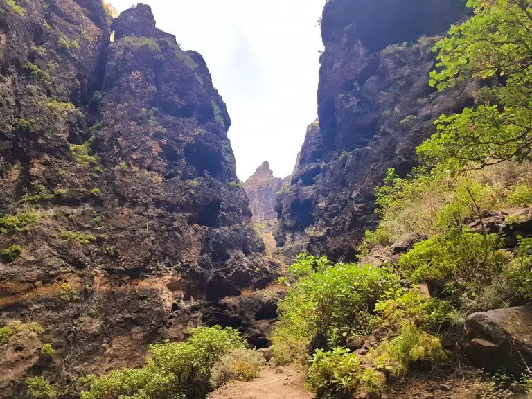 Masca Valley in Tenerife - Things You Must Know Before You Go - Wandernity