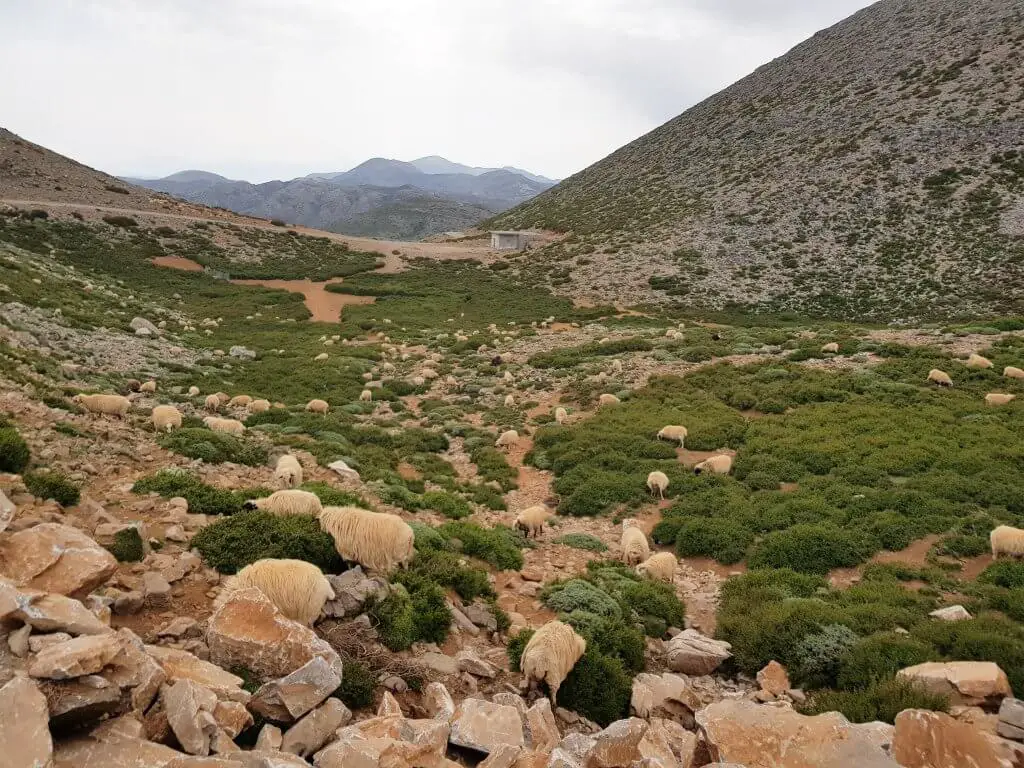 A Guide to Hiking Mount Ida in Crete, Greece - Wandernity