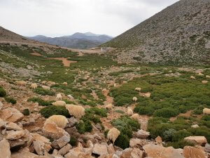 A Guide to Hiking Mount Ida in Crete, Greece - Wandernity