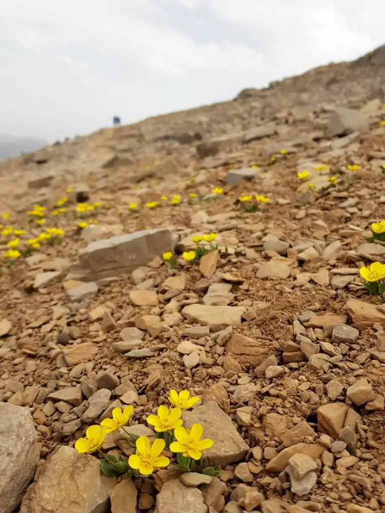 A Guide to Hiking Mount Ida in Crete, Greece - Wandernity