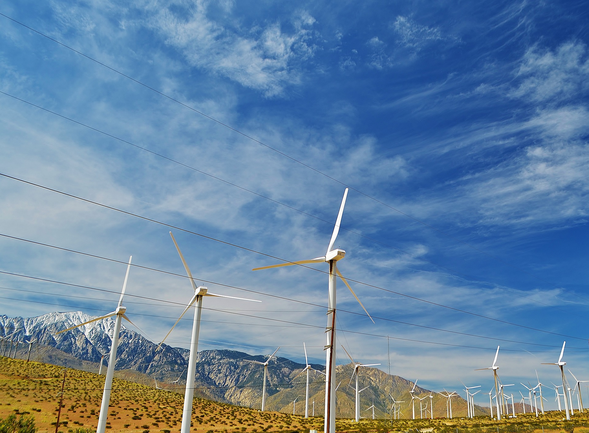 What To Do In Palm Springs With Kids: 7 Fun-Filled Attractions - Wandernity