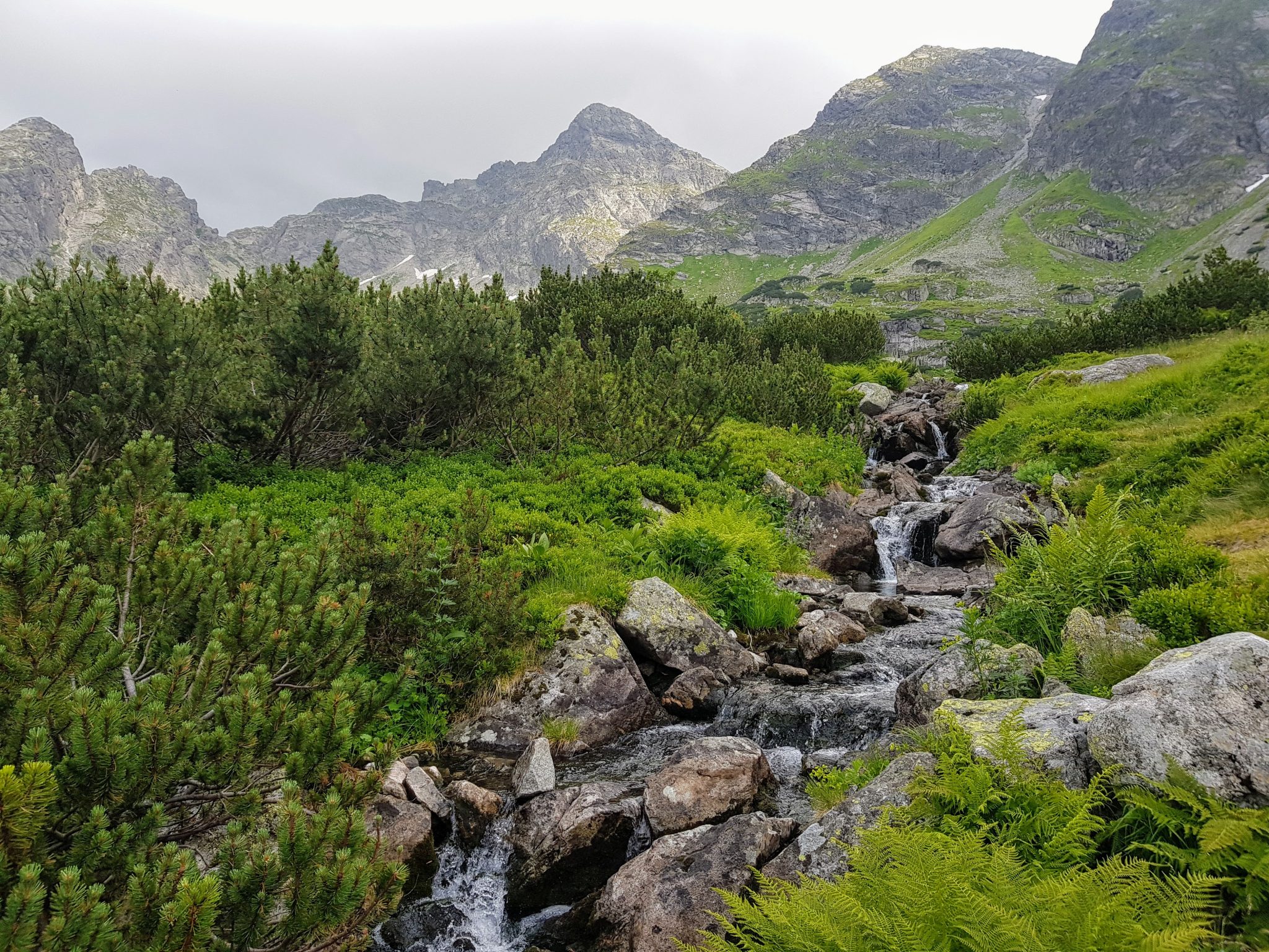 Hiking 101: The Ultimate Guide for Beginners - Wandernity