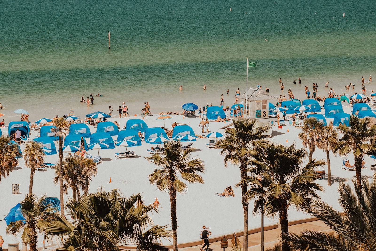 18 Best Florida Spring Break Destinations For Families in 2025 - Wandernity